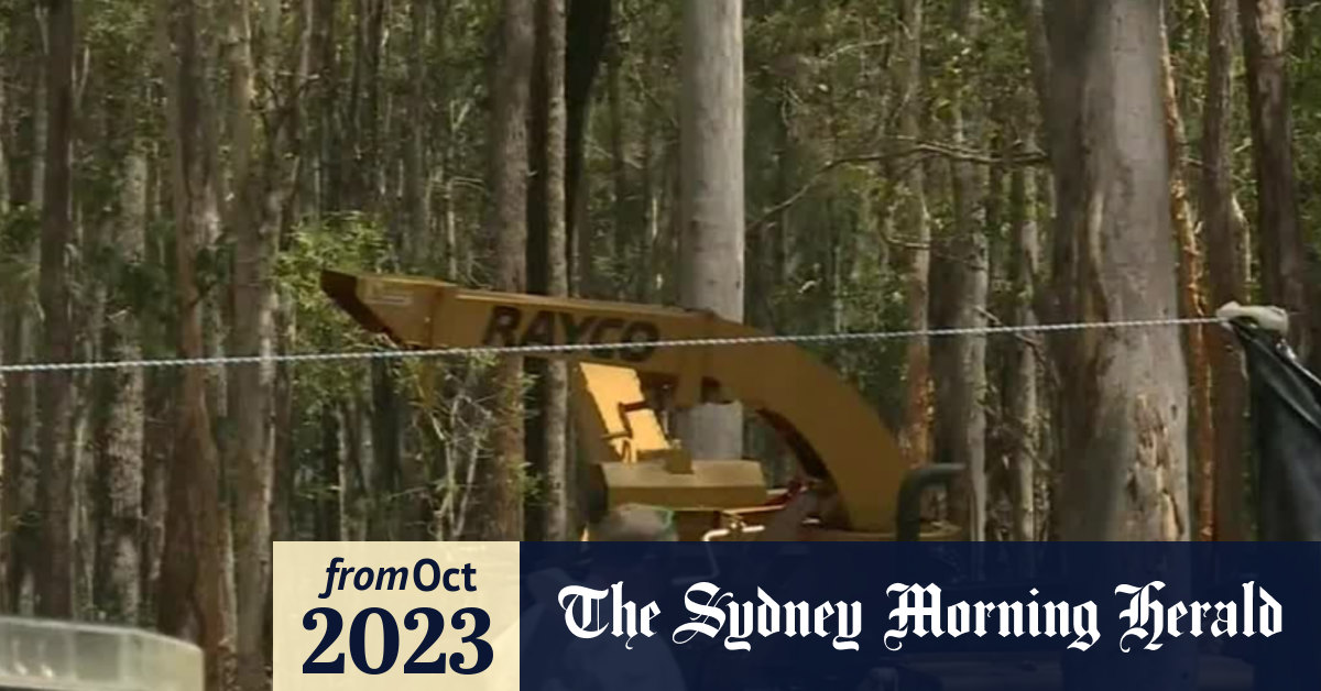 Video: Woman found guilty of woodchipper murder