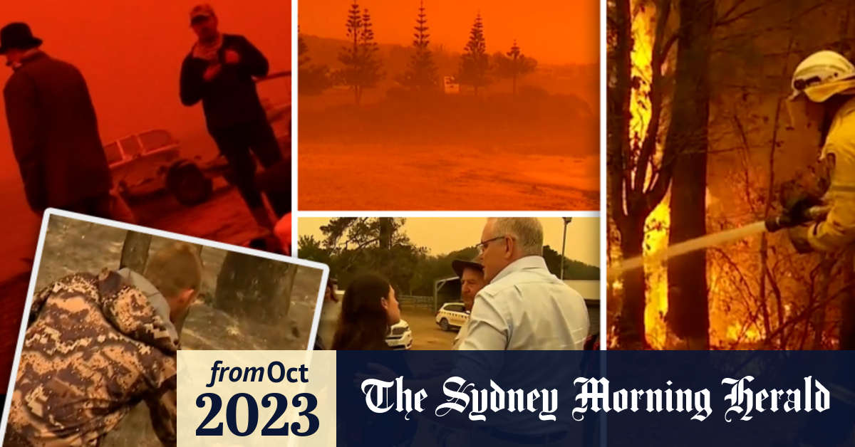 Video: Looking back on the Black Summer bushfires