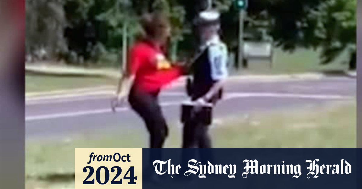 Video: Thorpe allegedly clashes with police and yells at King in Parliament