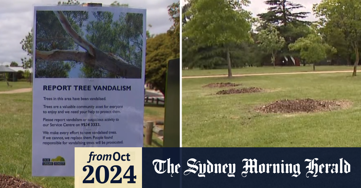 Video: Vandals target trees in several parks across Melbourne's south-east