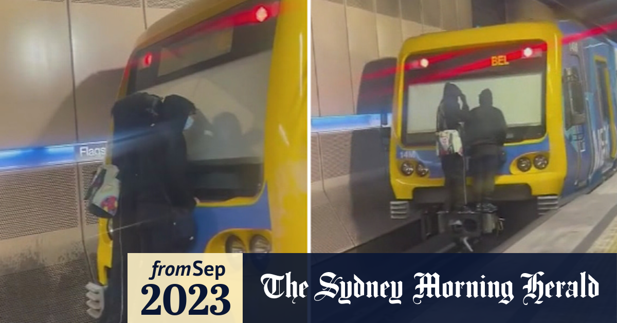 Video: Melbourne train-surfing stunt slammed