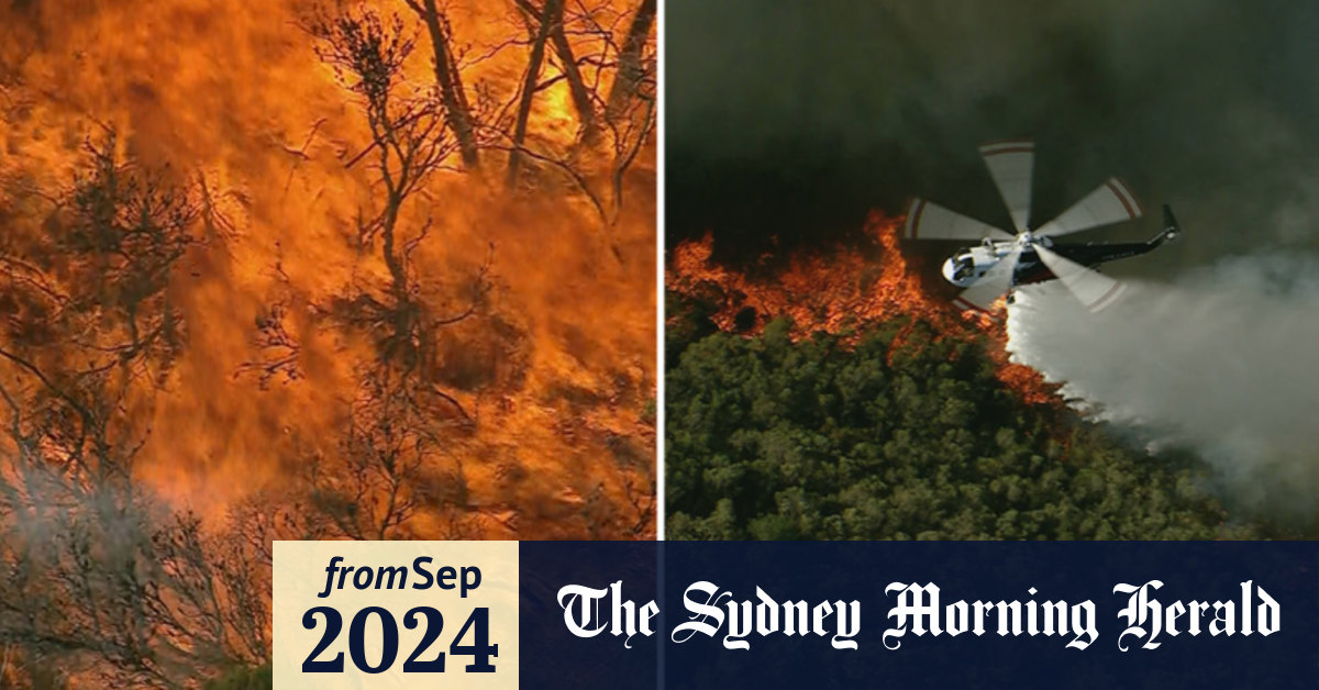 Video: Crews work overnight as bushfire burns through Sydney’s north