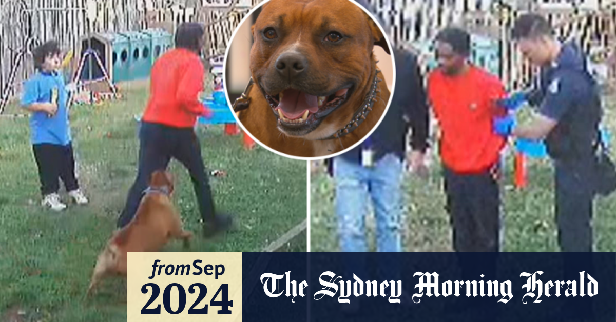 Video: Family dog chases down dangerous fugitive after violent machete ...