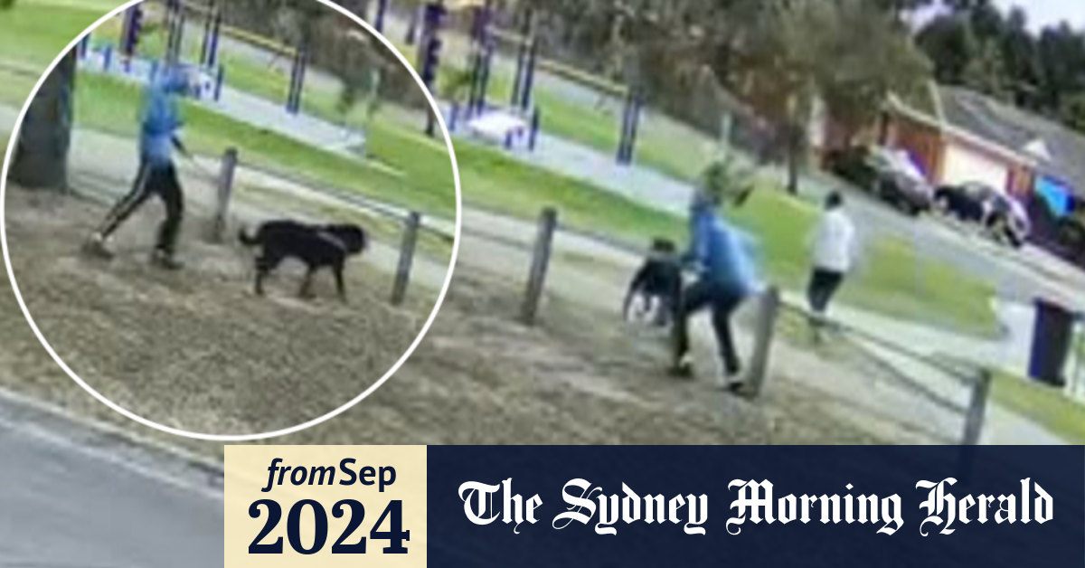 Video: Rottweiler attack victim issues public plea