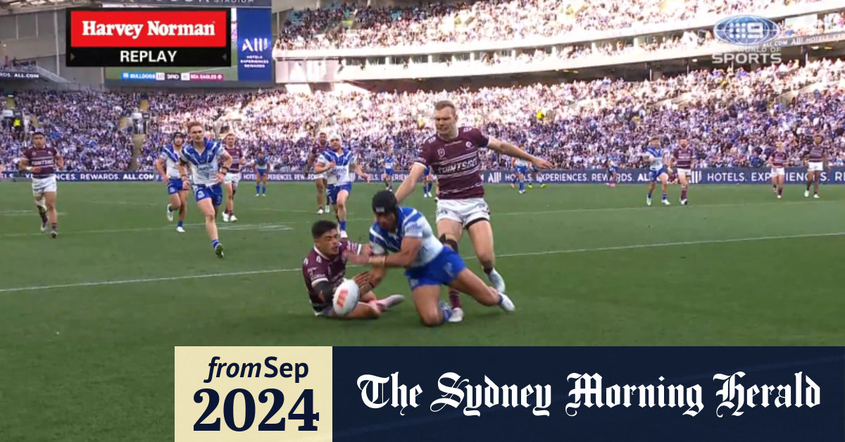 Video: Critta pounces