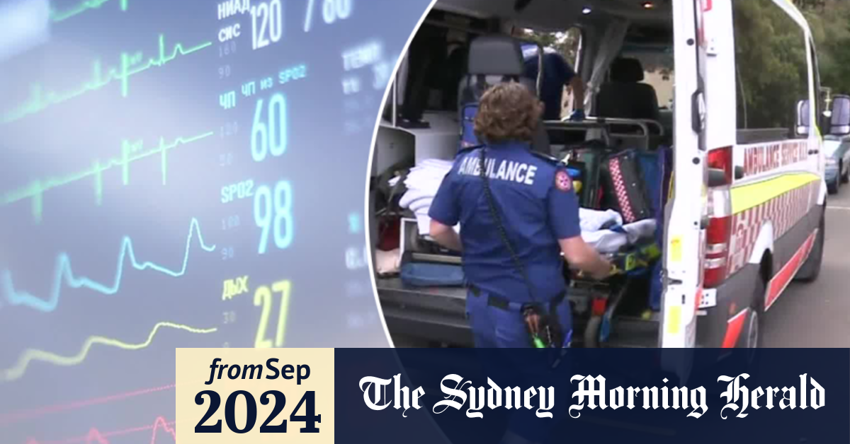 Video: NSW emergency services seriously suffering, report finds