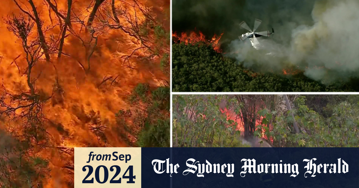 Video: Bushfire warning in Sydney's north downgraded as conditions ...
