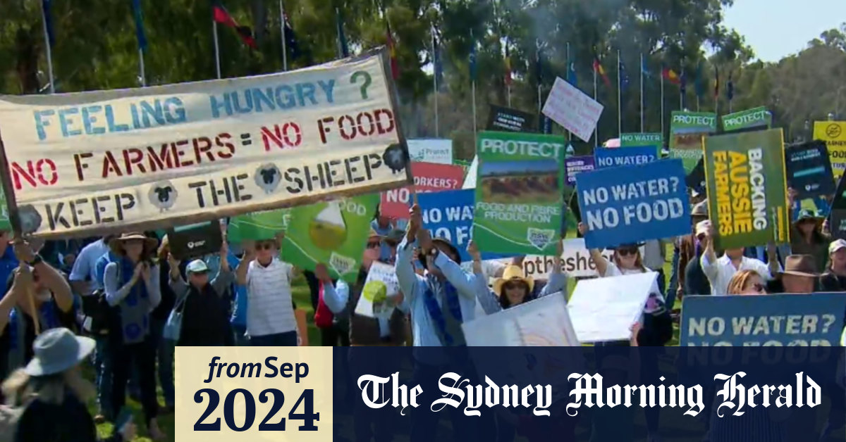 Video: Farmers protest government's live sheep export ban