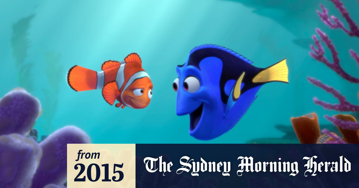 Fish can be friends, researchers find