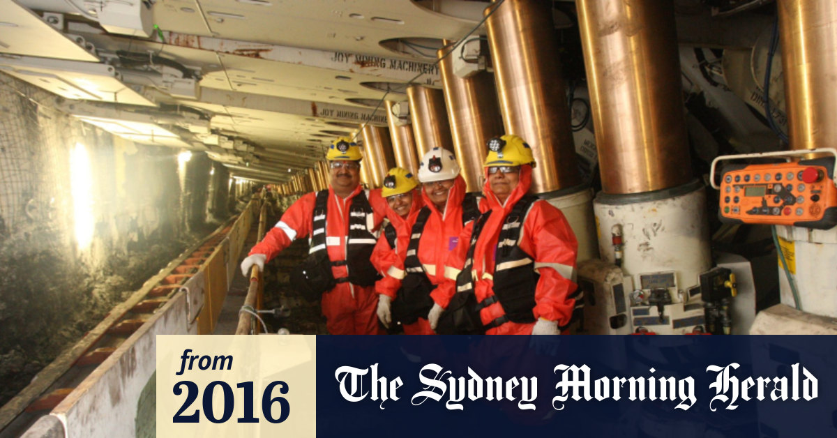 Giant dragonfly helps stymie plans for coal mining in Sydney's ...