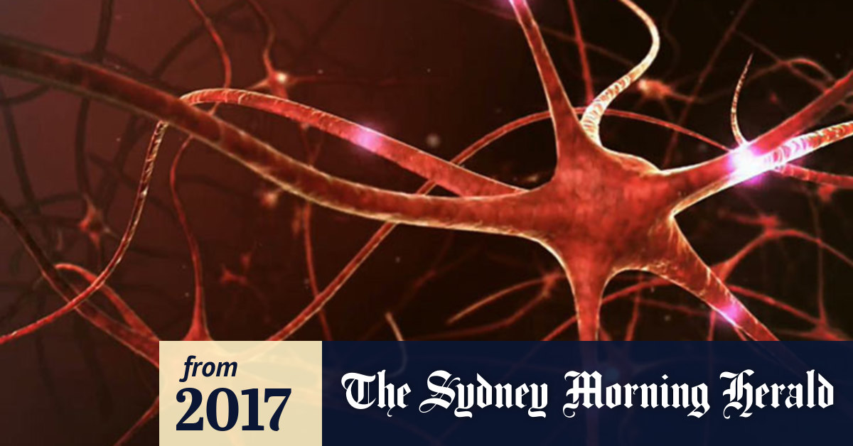 Video: What's inside your brain?