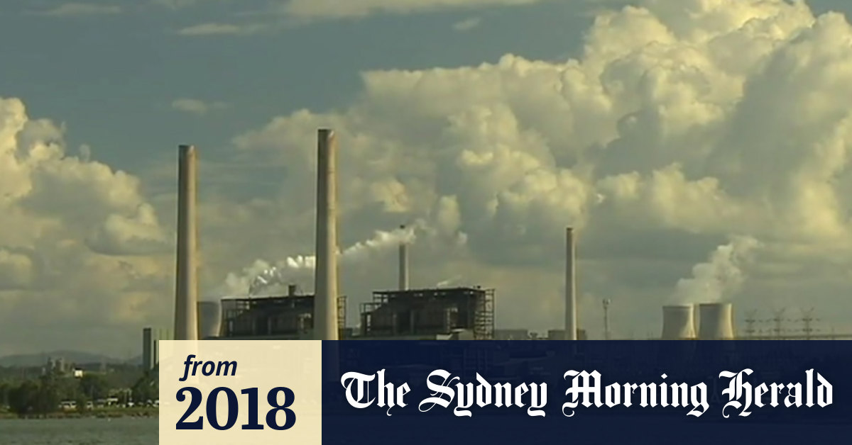 Video: What is the NEG?