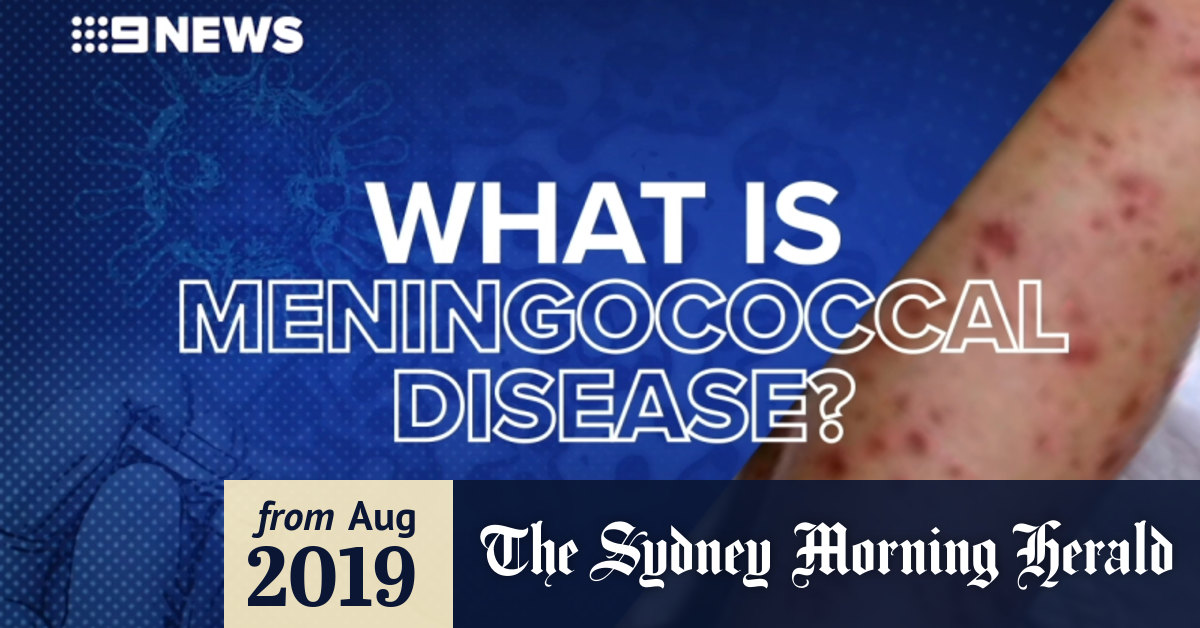 Video: What is meningococcal disease?