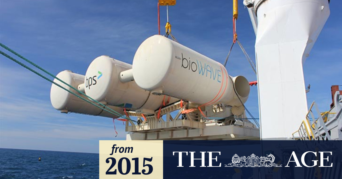 Video: An animation of the bioWAVE in action