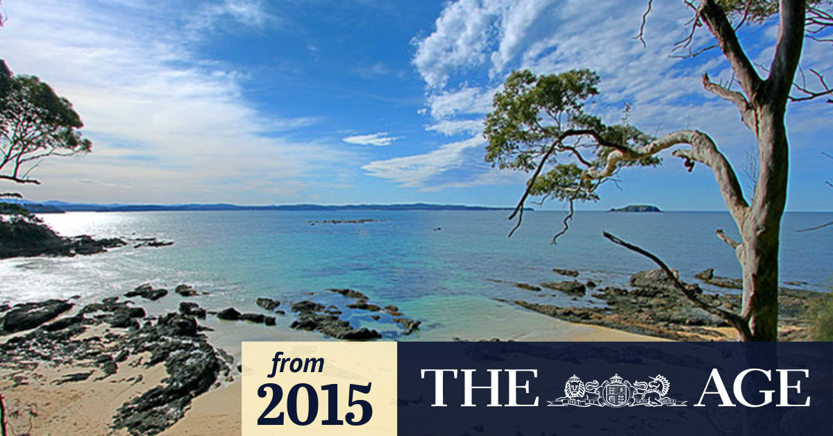 Video: Spring has arrived!