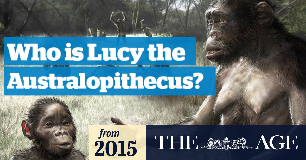 Video: Who is Lucy the Australopithecus?