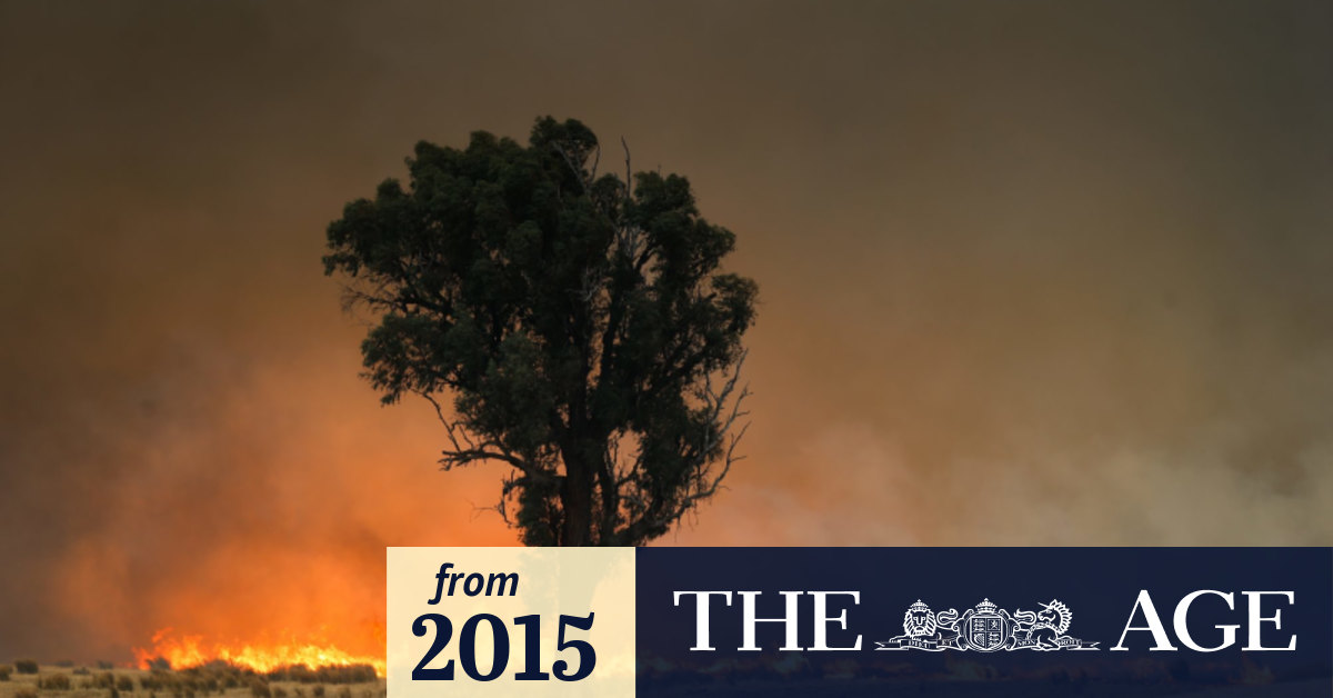 Tree falling on power line blamed for starting Barnawartha fire