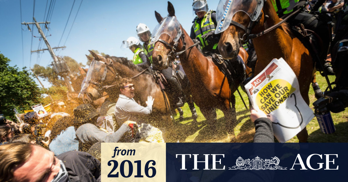 Anti-Islam protest: Far-right groups rally in Melton against 'Muslim ...