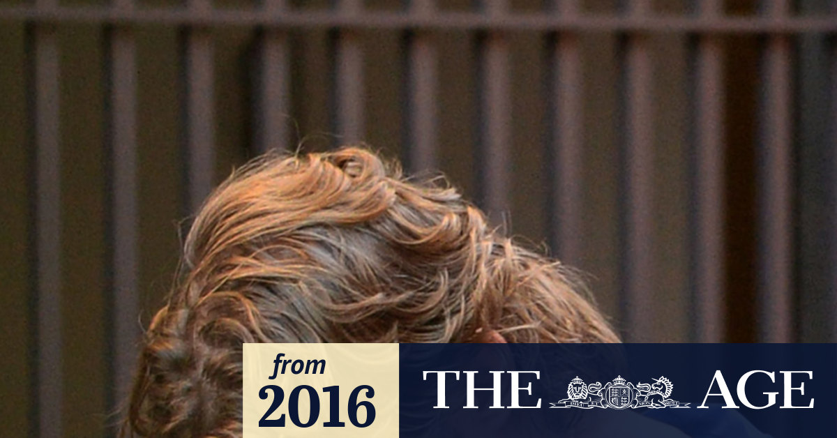 Bendigo man Daniel Reimers pleads guilty to 28 charges