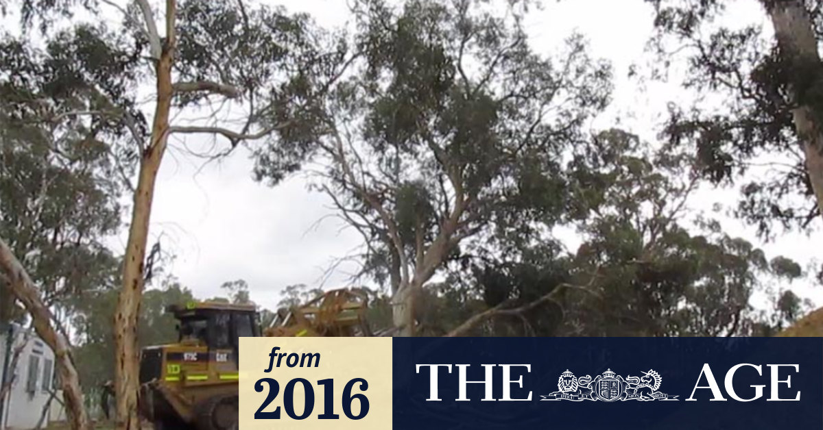 Video: Residents aghast at Viveash bush destruction