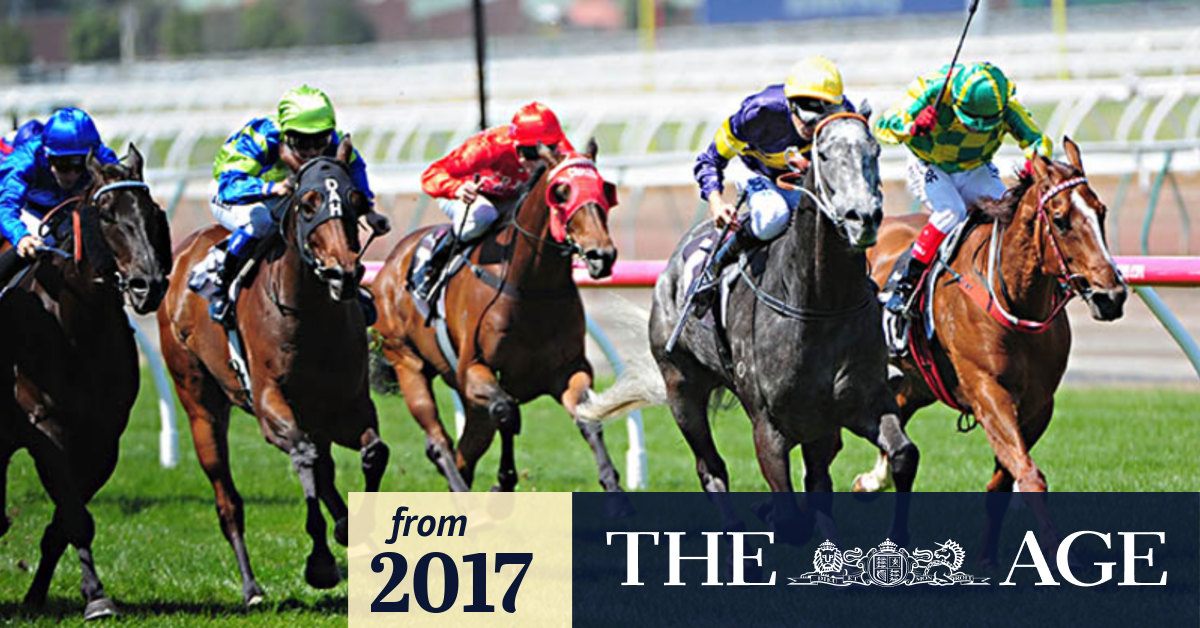 Video: Spring Carnival racing fever grips the nation