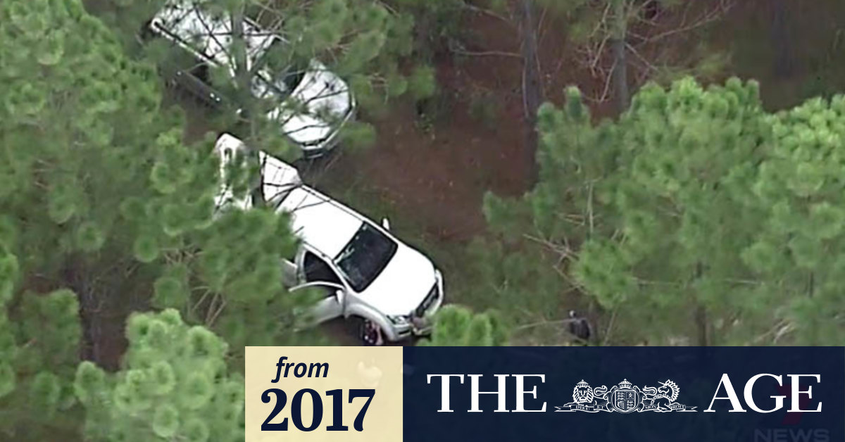 Video: Remains found in search for Sam