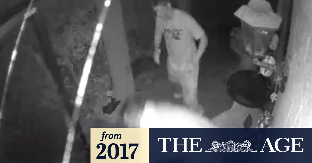 Video: Violent home invasion caught on camera