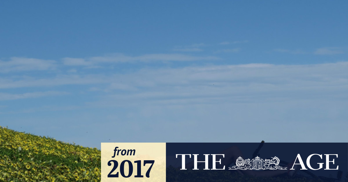 Melbourne weather: Enjoy the spring sunshine ... while you still can