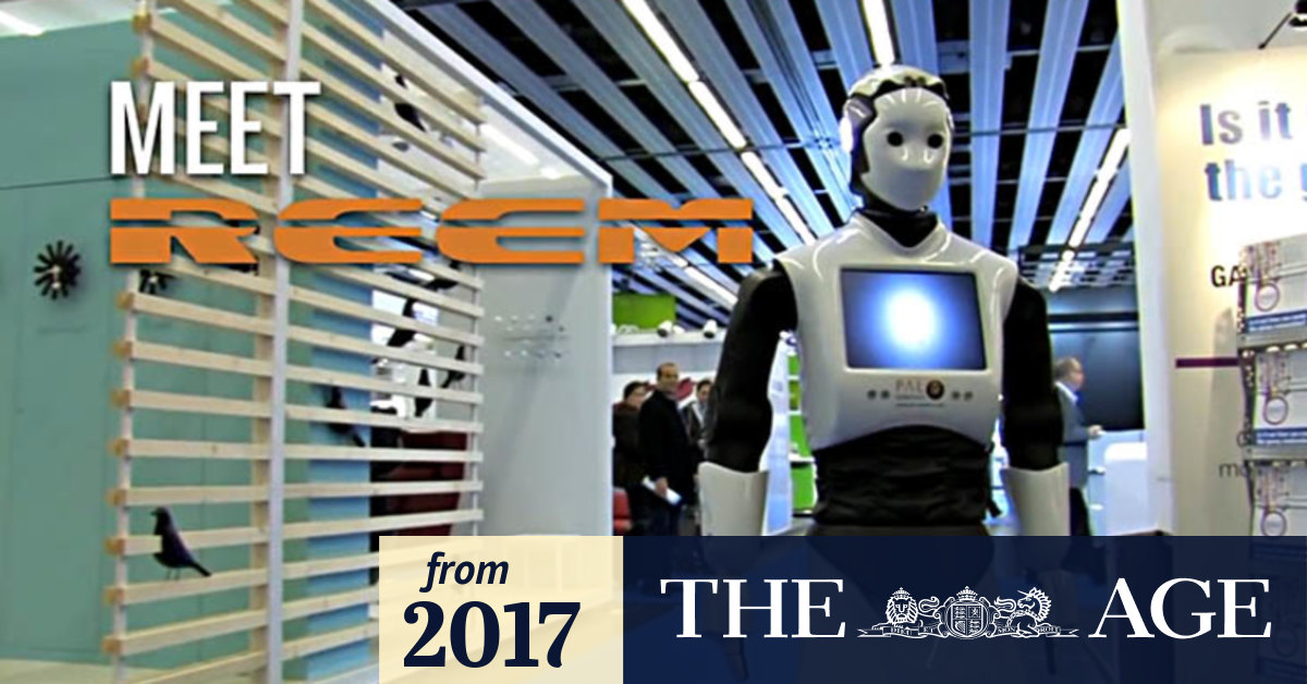 Video: REEM : Full-size humanoid service robot