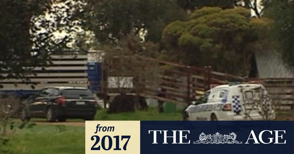 Video: Worksafe investigate fatal bull incident