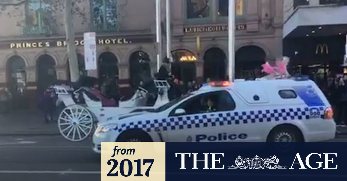 Video: Police crack down on horse-drawn carriages