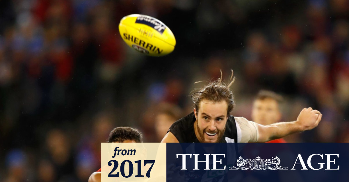 In a Magpie nest with Tim, Brodie and Rachael