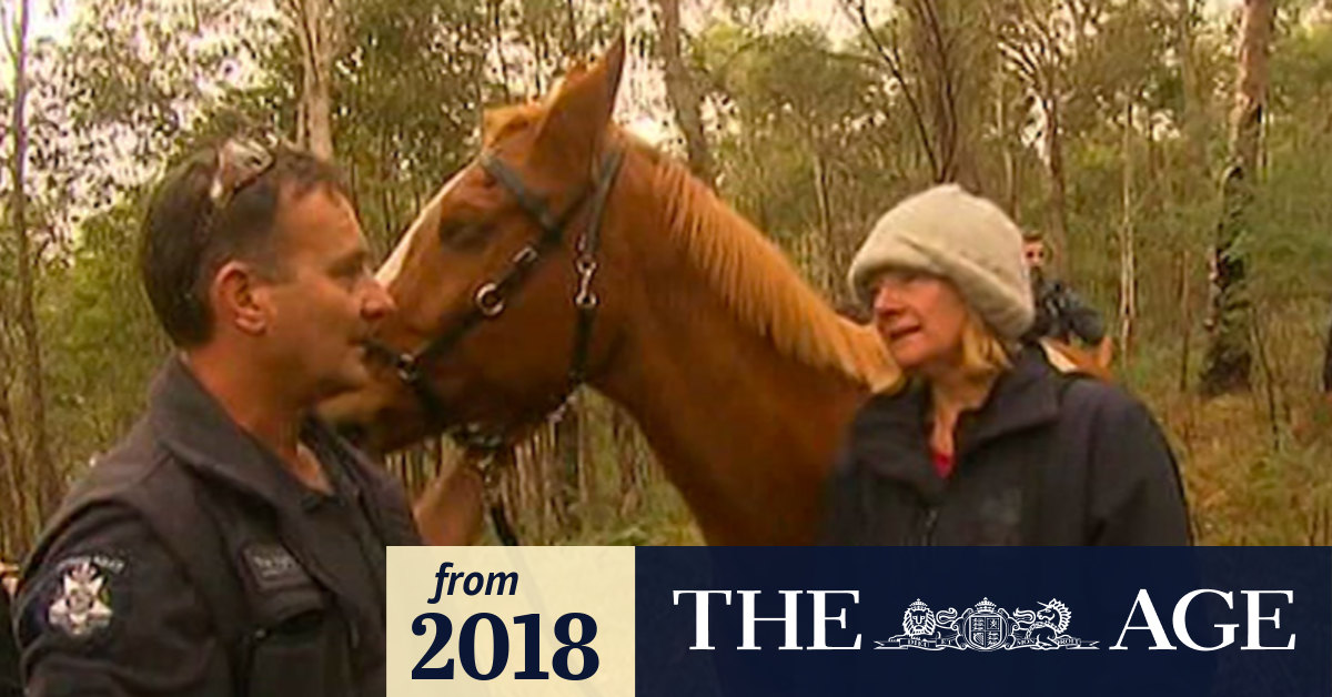 Video: Missing horse rider found after four days