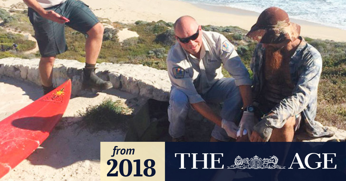 Video: Second shark attack off Gracetown