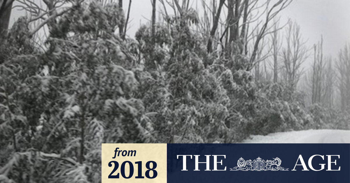 Video: Snow has arrived in Victoria