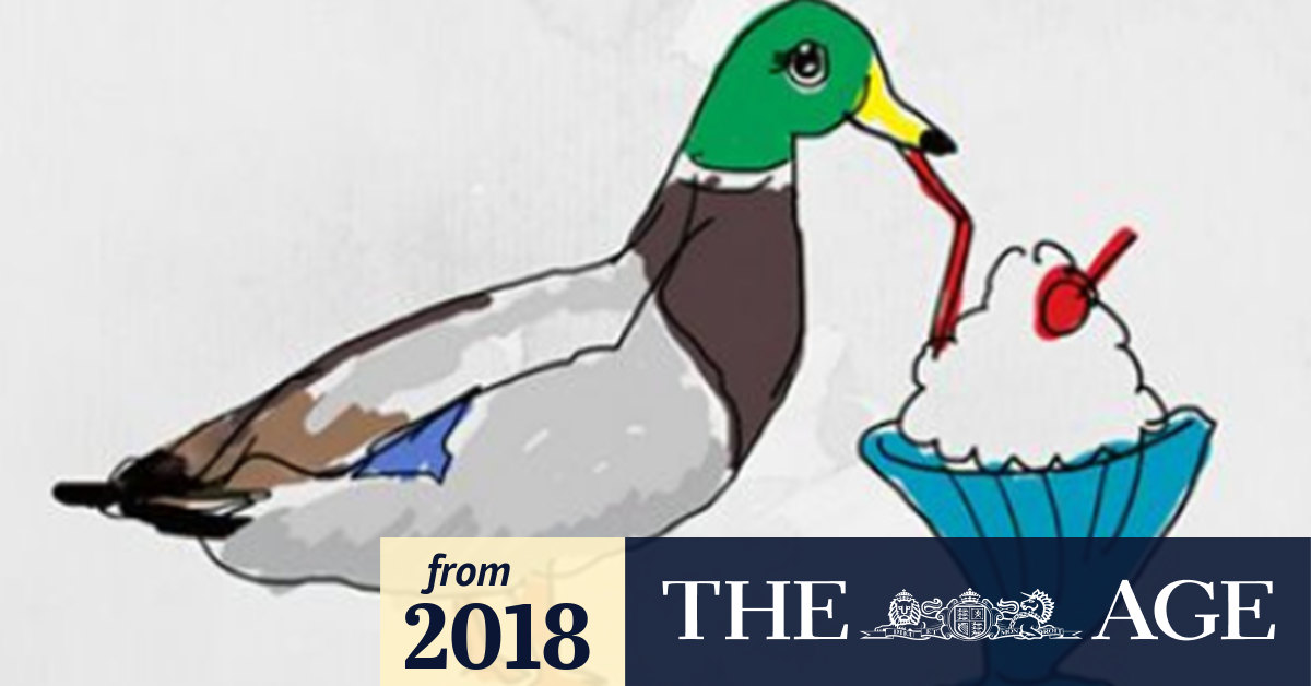 Video: 'Milkshake duck' the word of 2017