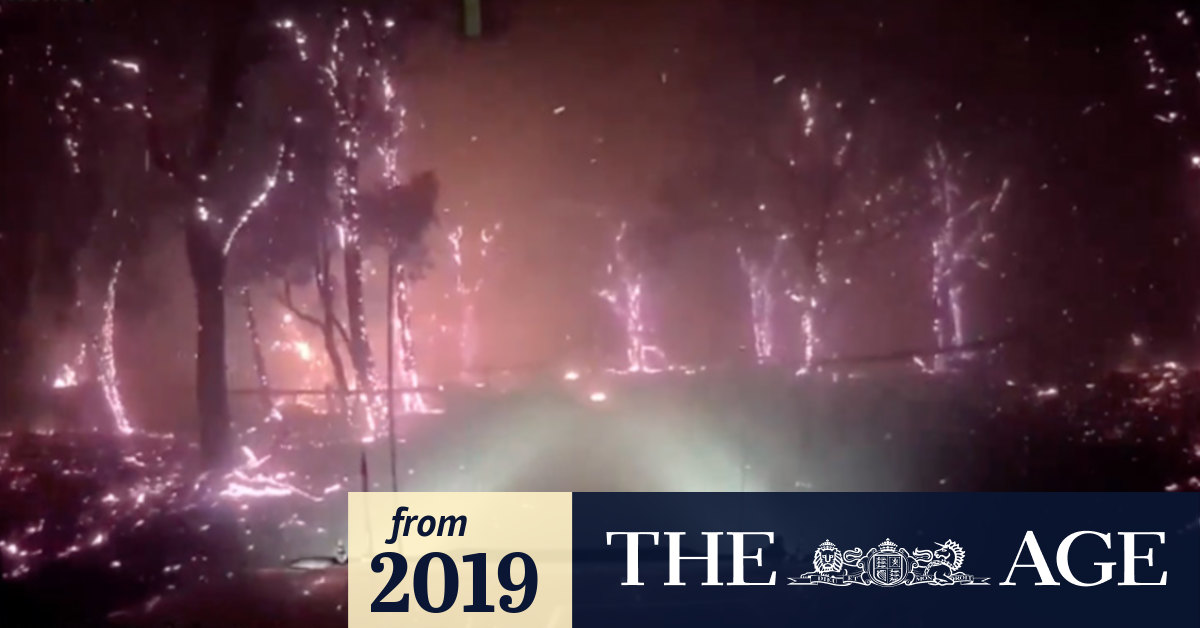 Video: Dash cam footage shows Bunyip State Forest in flames