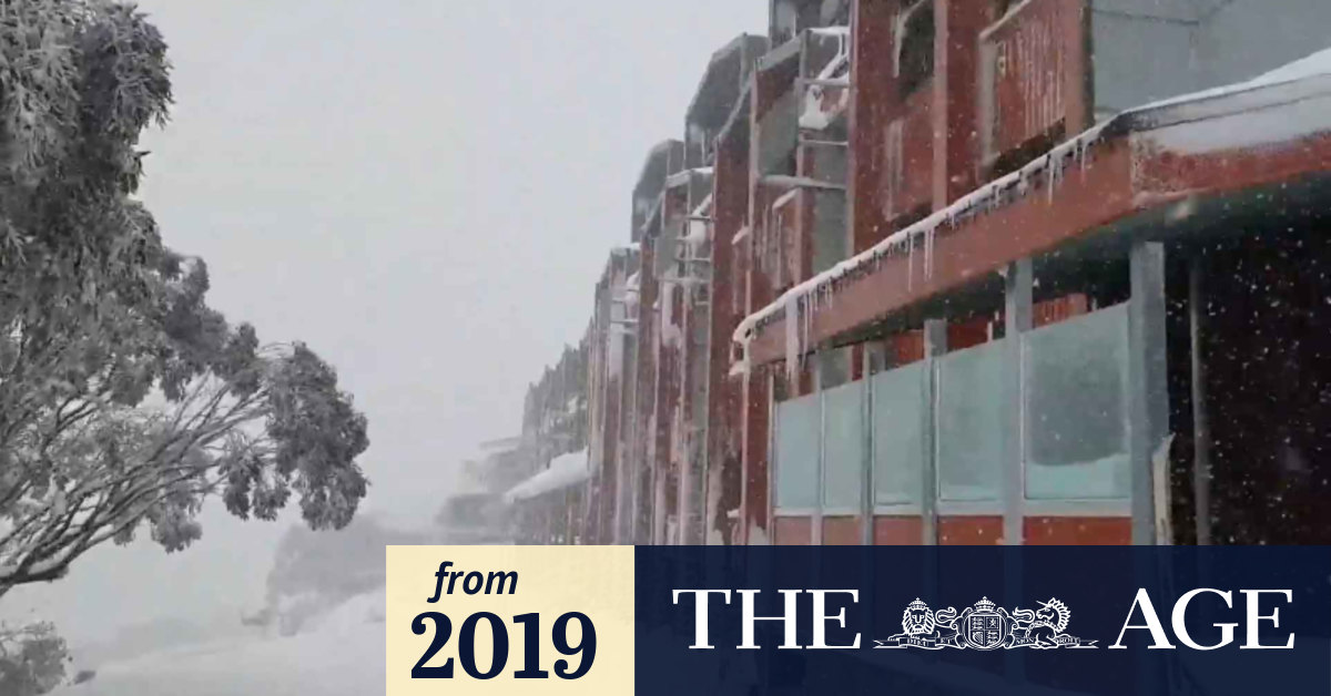 Video: Snow falls in Hotham overnight on first day of summer