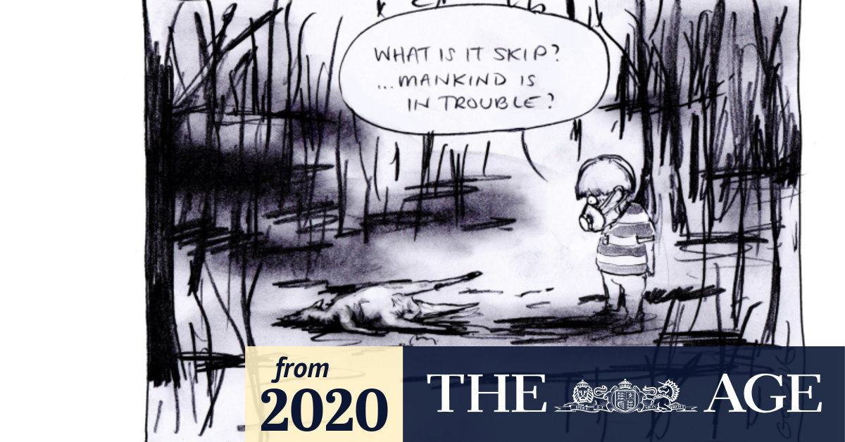 Best of cartoons, January 12, 2020
