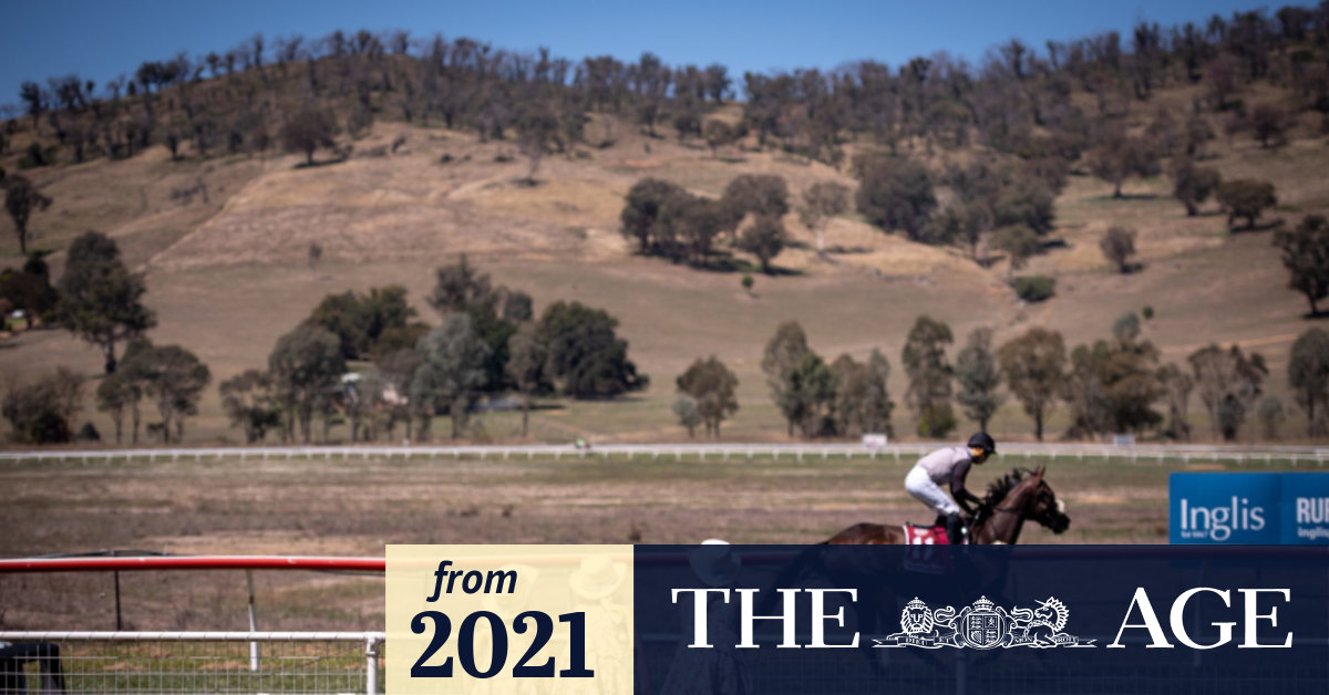 Towong races turn 150 with cracker Cup Day