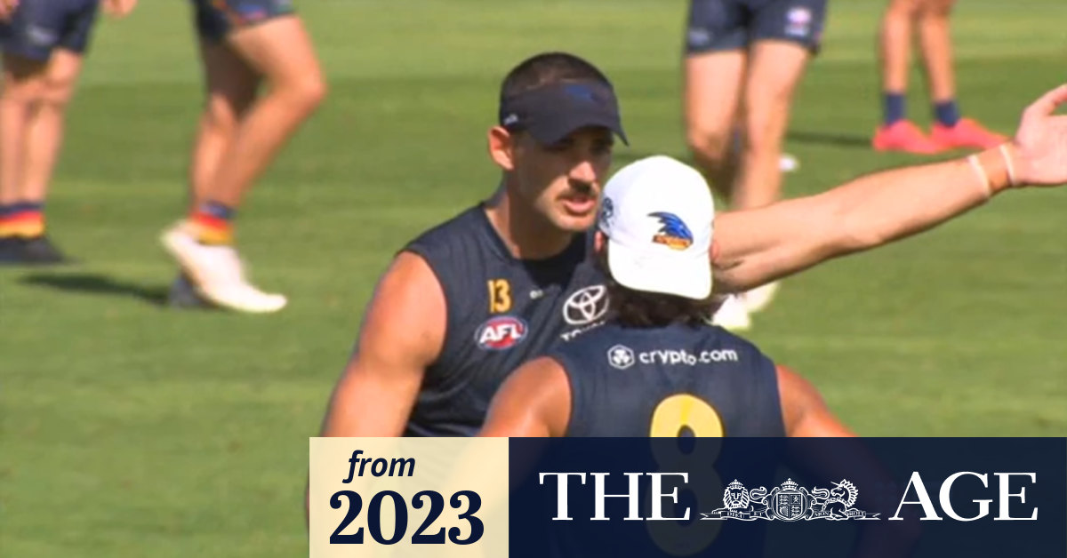 Video: Crows in fiery training ground bust-up