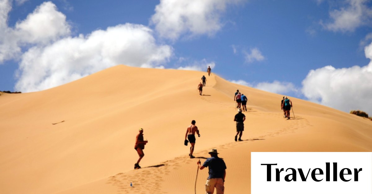 Oystercatcher Trail, South Africa: Trailing in humanity's footsteps