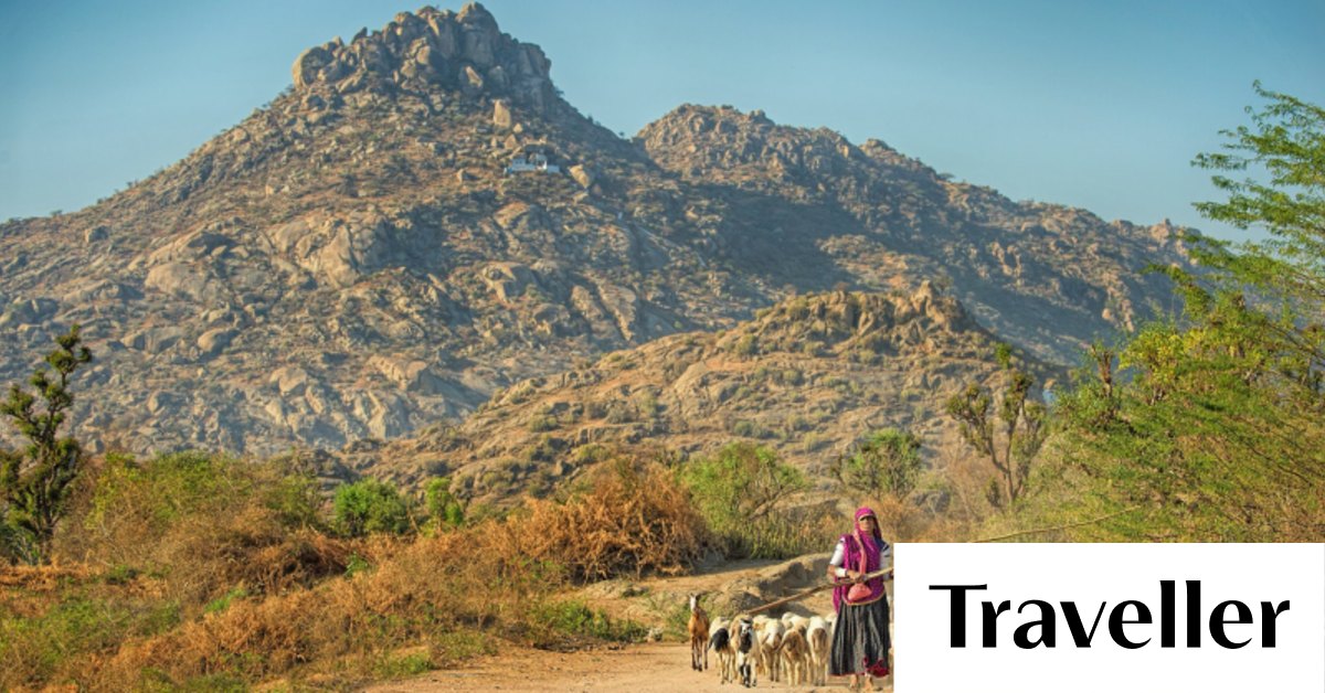 Rajasthan safari to Sujan Jawai wilderness camp: Home to a dying way of ...