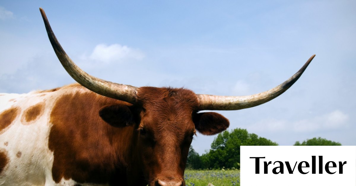 Lee Tulloch's big travel discoveries of 2014