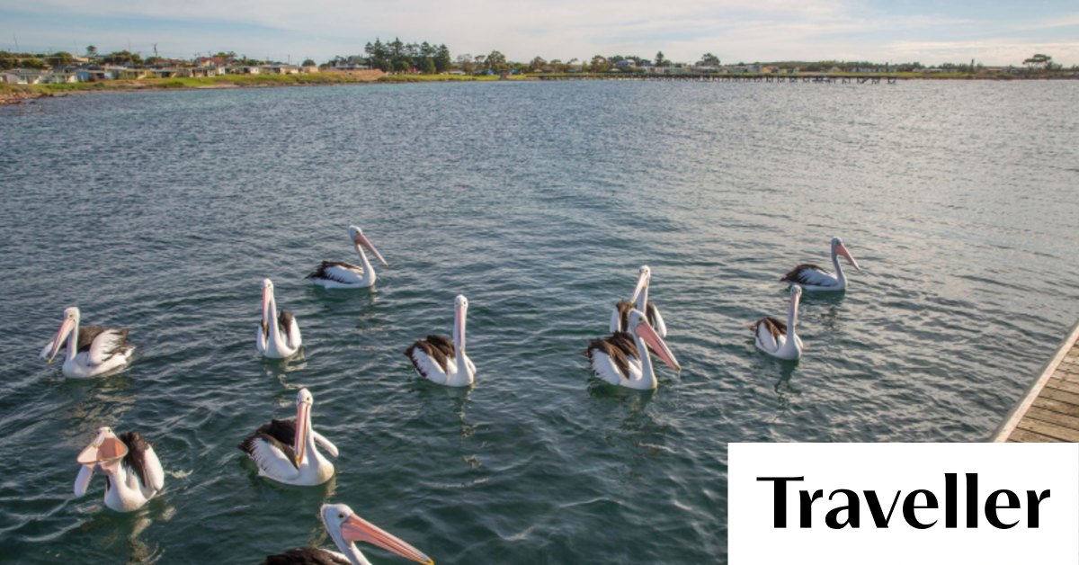 Port Neill, South Australia: Travel guide and things to do