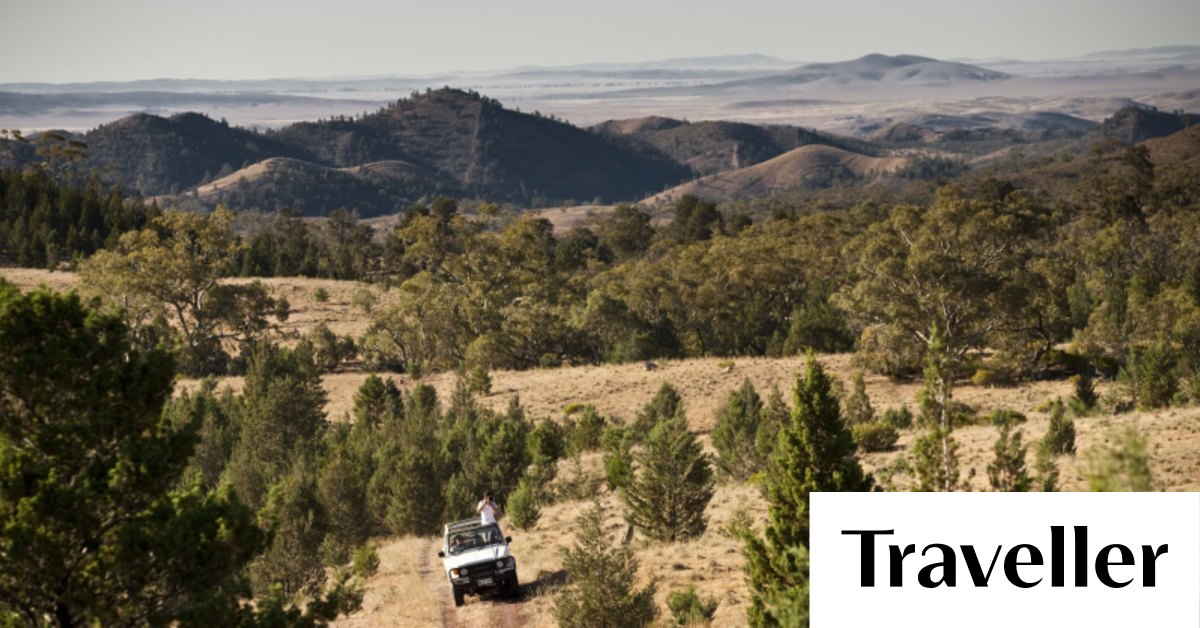 Australia wildlife safari holidays: How to go on safari without going ...