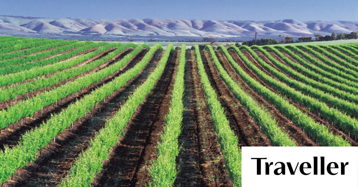 Willunga, South Australia: Travel guide and things to do