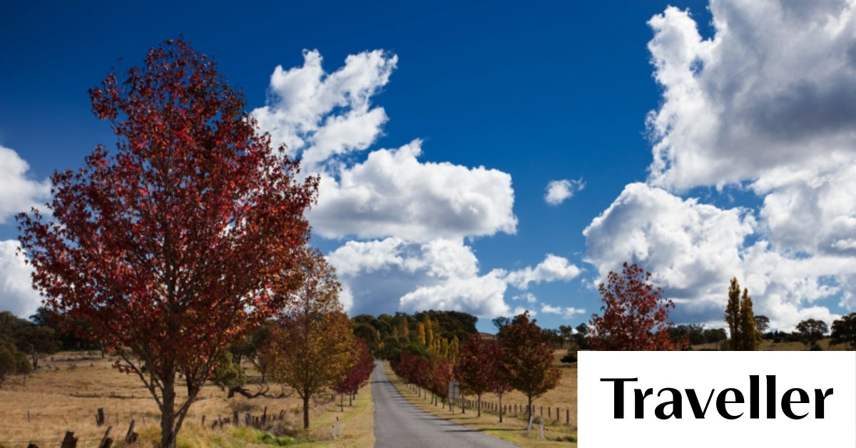 Tenterfield, New South Wales: Travel guide and things to do