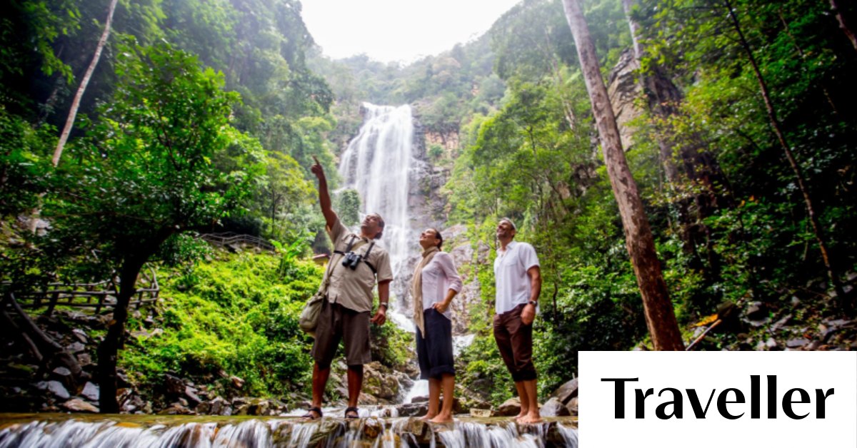 The world's best tour guides: Follow the leaders