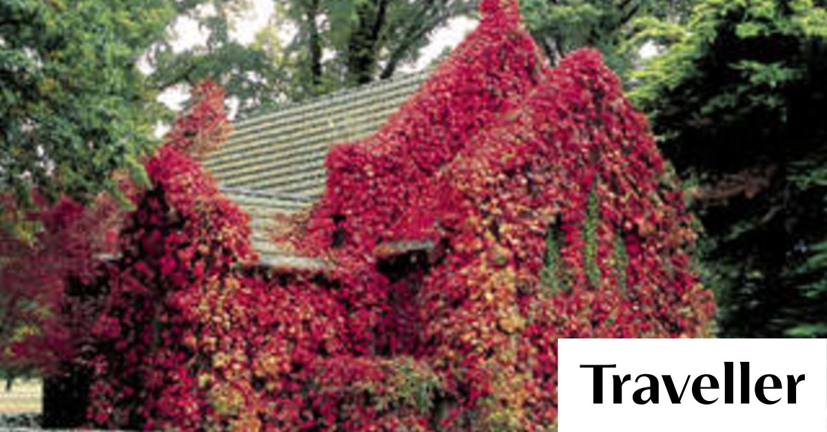 Uralla, New South Wales: Travel guide and things to do